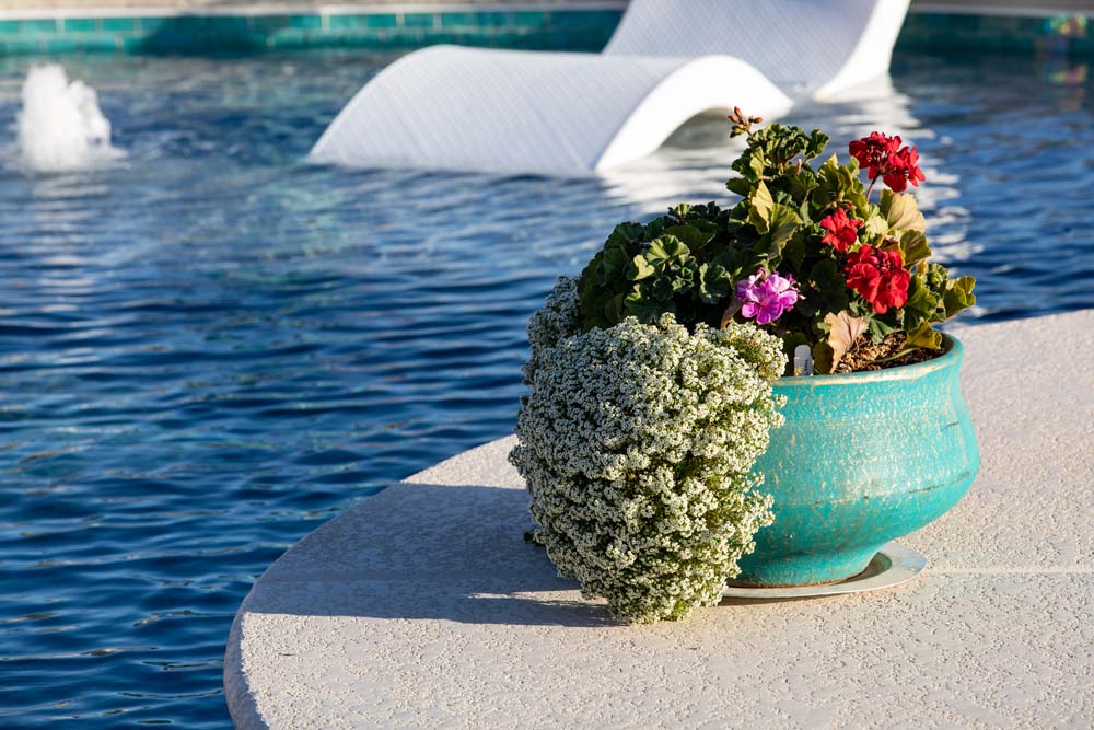 Project 18 | California Pools Las Vegas